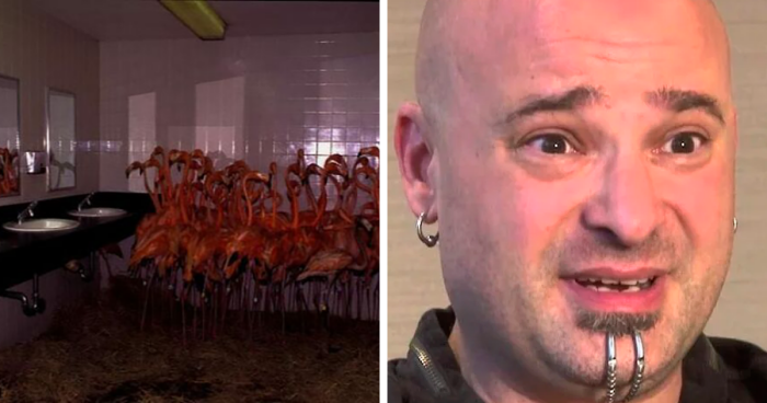 45 ‘Cursed Images’ That Might Make You Facepalm Or Laugh, As Shared On ...