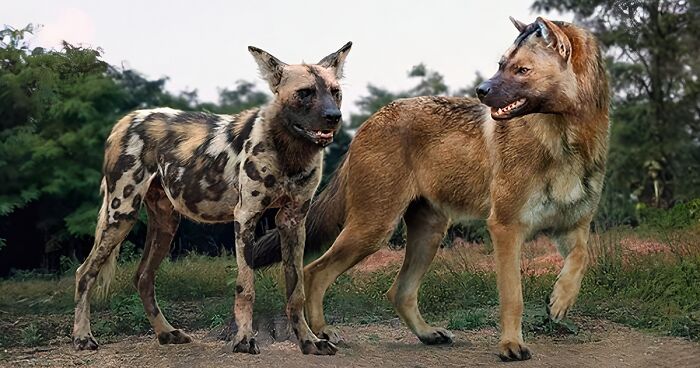 30 New Size Comparisons Of Extinct Species And Their Modern Relatives ...