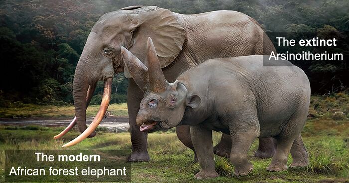 30 New Size Comparisons Of Extinct Species And Their Modern Relatives ...
