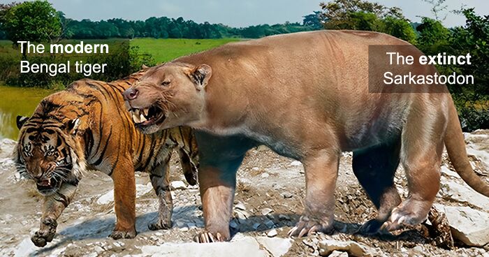 30 New Size Comparisons Of Extinct Species And Their Modern Relatives ...