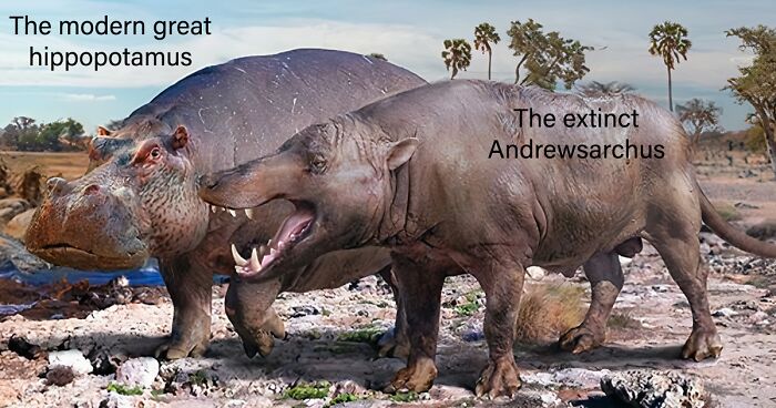 30 New Size Comparisons Of Extinct Species And Their Modern Relatives ...