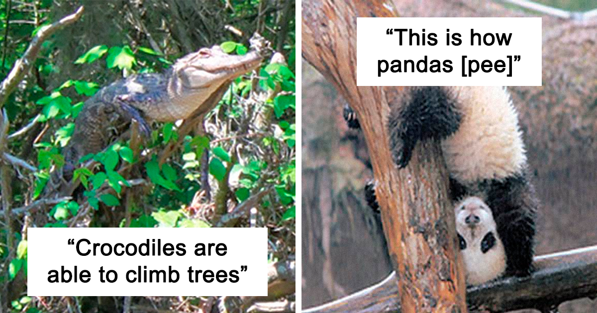 30 Haunting Real-Life Disturbing Facts You’ve Probably Never Heard ...