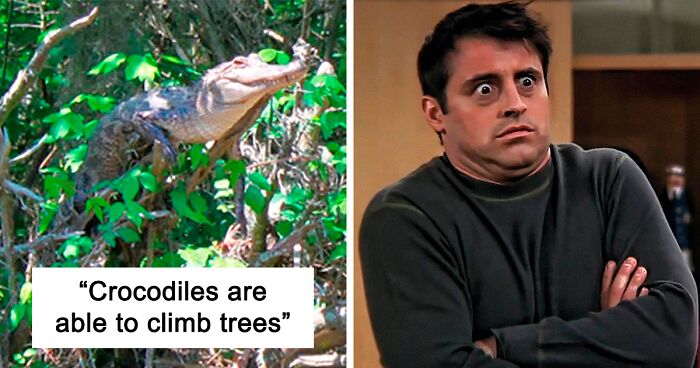 30 Haunting Real-Life Disturbing Facts You’ve Probably Never Heard ...