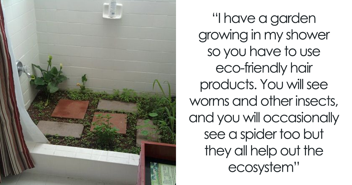 “DIY WHY”: 30 Times People Should Have Hired Someone Else To Do Things ...