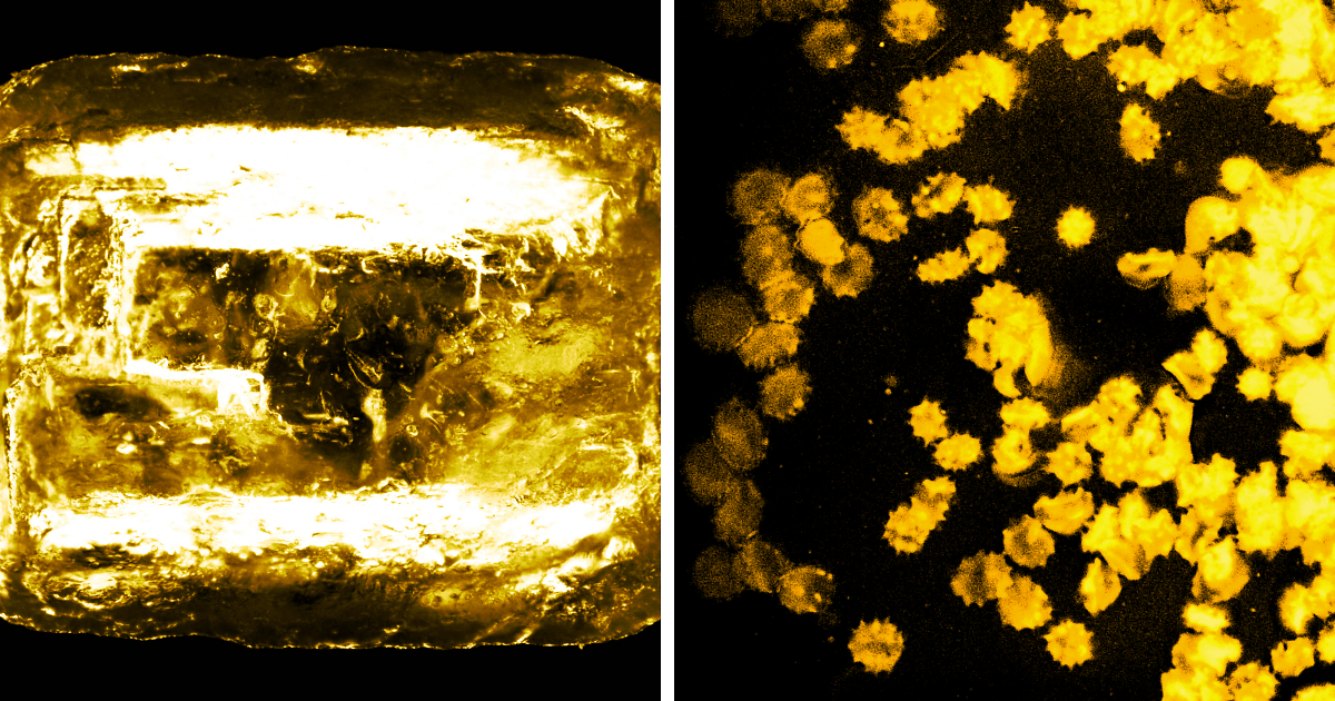 From Microscope To Masterpiece: My Black And Gold Digital Photo ...
