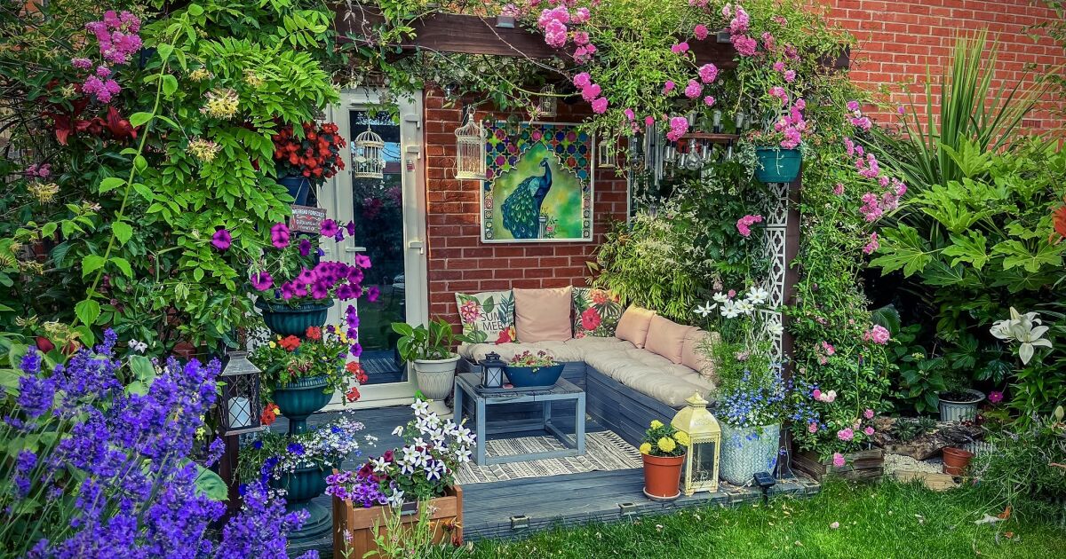 I Transformed My New Build Garden: A Journey Of Creativity And Growth ...