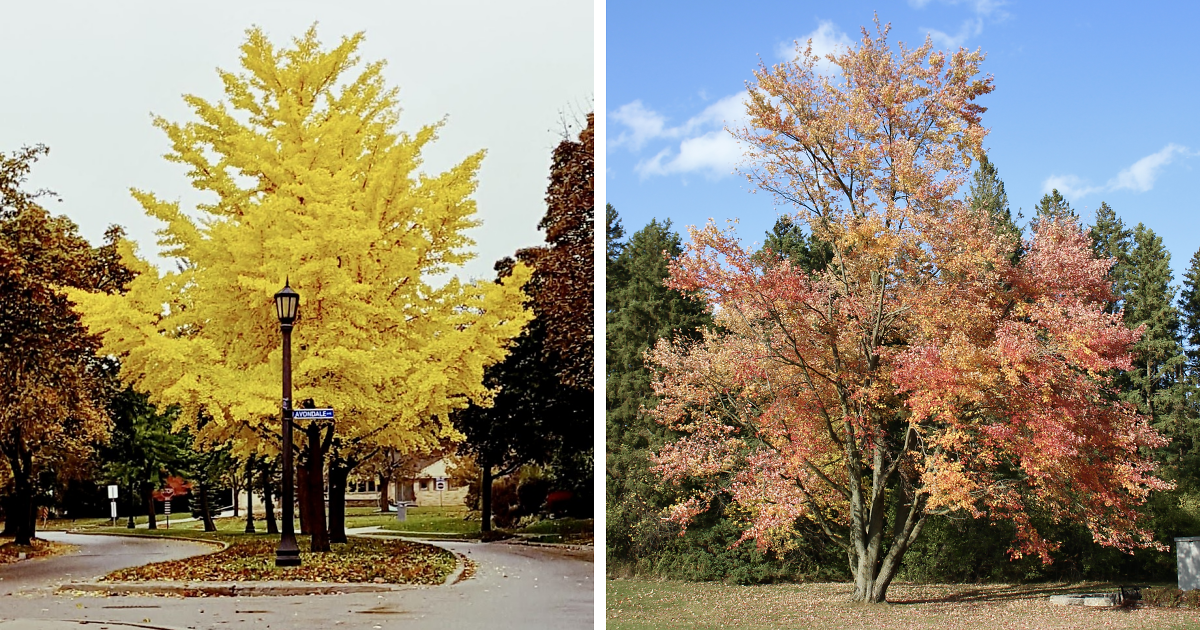 Pictures Of Fall Taken All Around The Waterloo Area (25 Pics) | Bored Panda