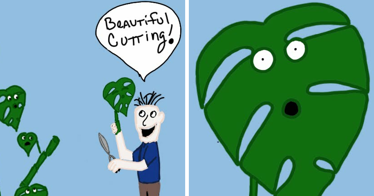 I Make Comics About Life As Plants | Bored Panda