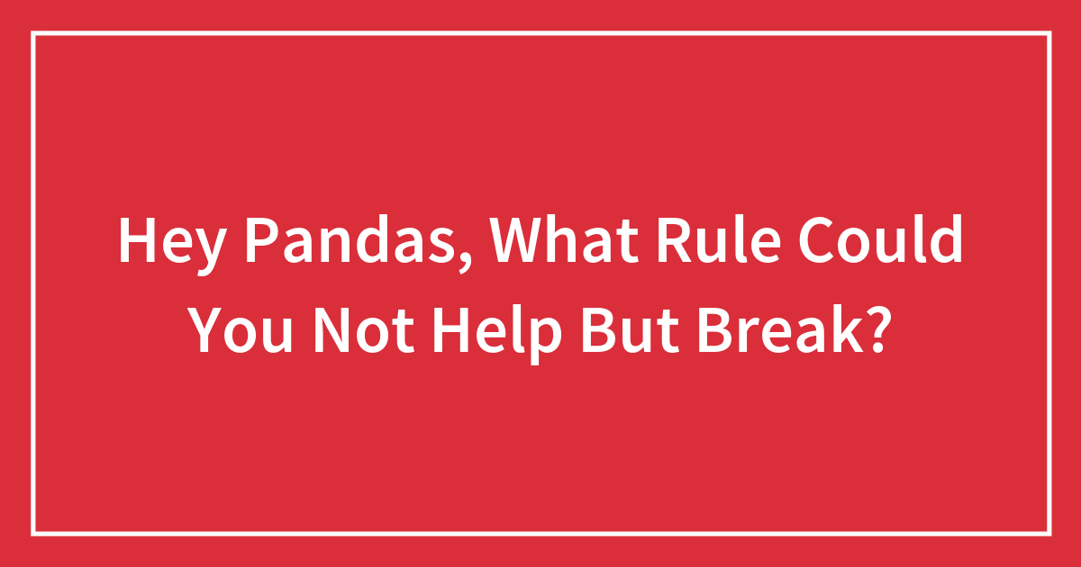 Hey Pandas, What Rule Could You Not Help But Break? (Closed) | Bored Panda
