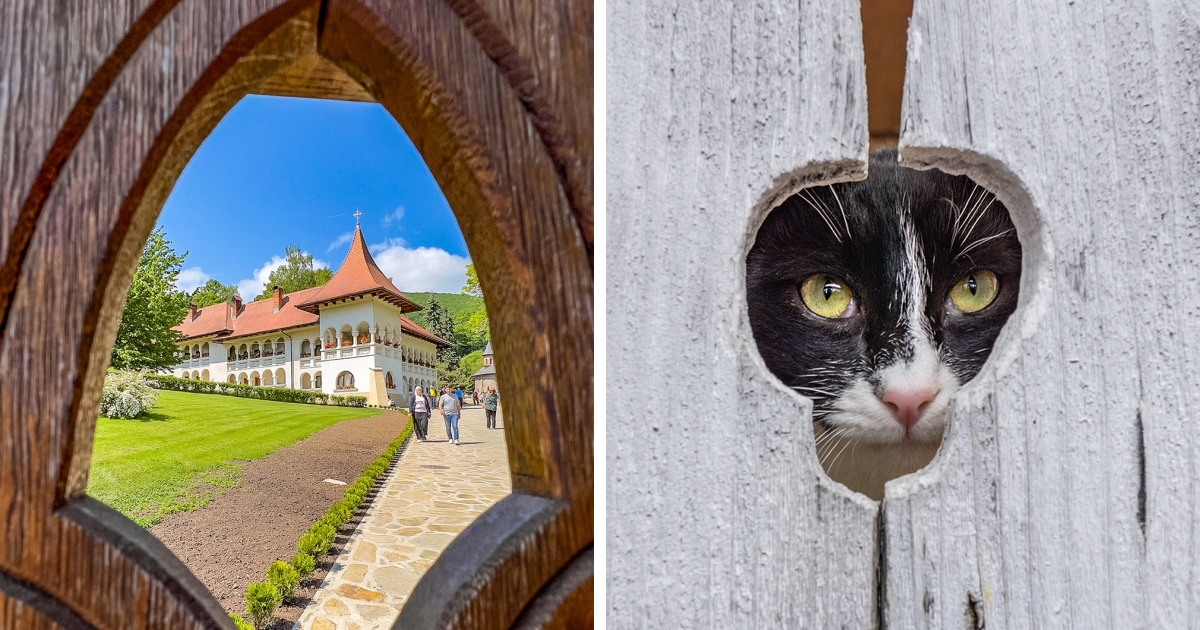 “Framed Moments”: 34 Photos That I Took | Bored Panda