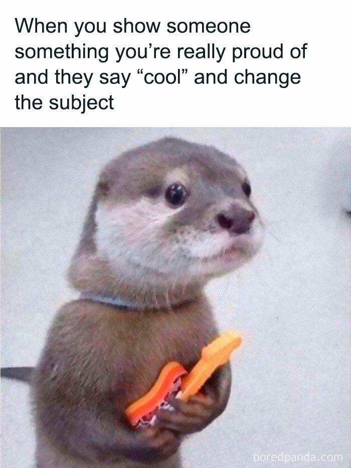 30 Of The Funniest Animal Memes To Make Your Day As Seen On This 30 Of The Funniest Animal Memes To Make Your Day As Seen On This