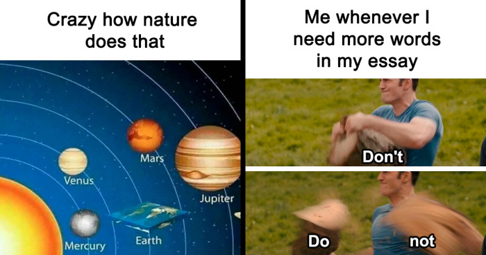 ‘Educational Memes’: 35 Posts That Might Hit The Spot If You’re Still ...