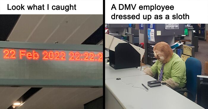 50 Memezar Memes That Are Hilariously Relatable | Bored Panda