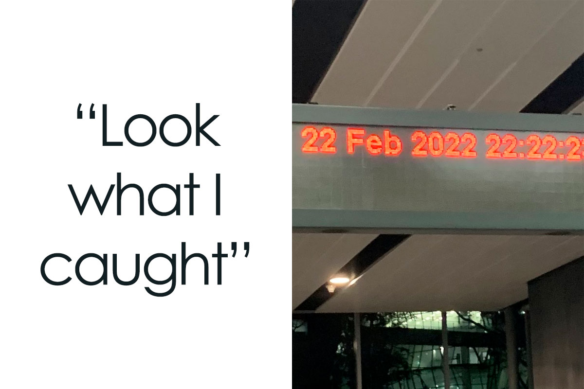 50 Memezar Memes That Are Hilariously Relatable | Bored Panda