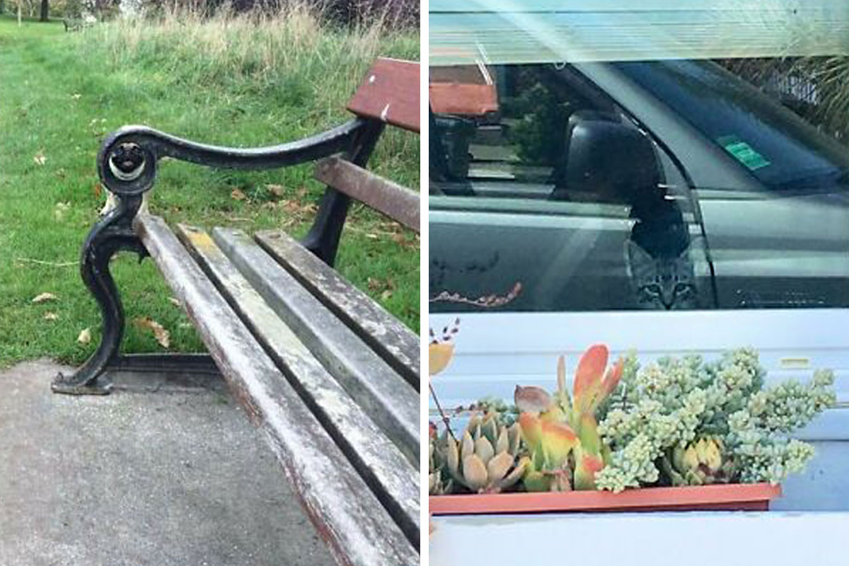 30 Photos That Look Normal At First Glance But Become Hilarious When ...