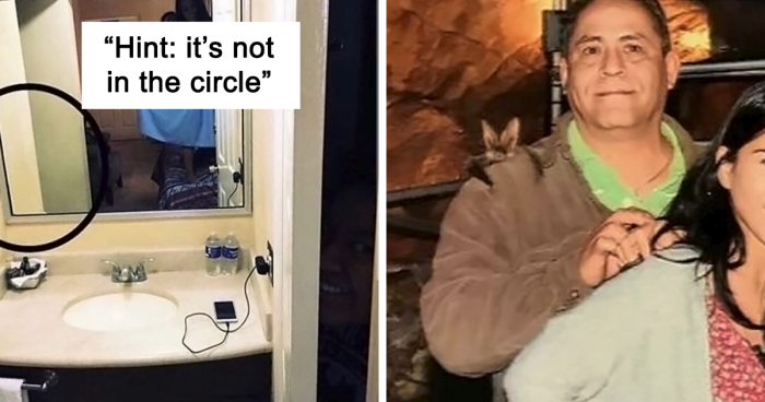 30 Photos That Look Normal At First Glance But Become Hilarious When ...