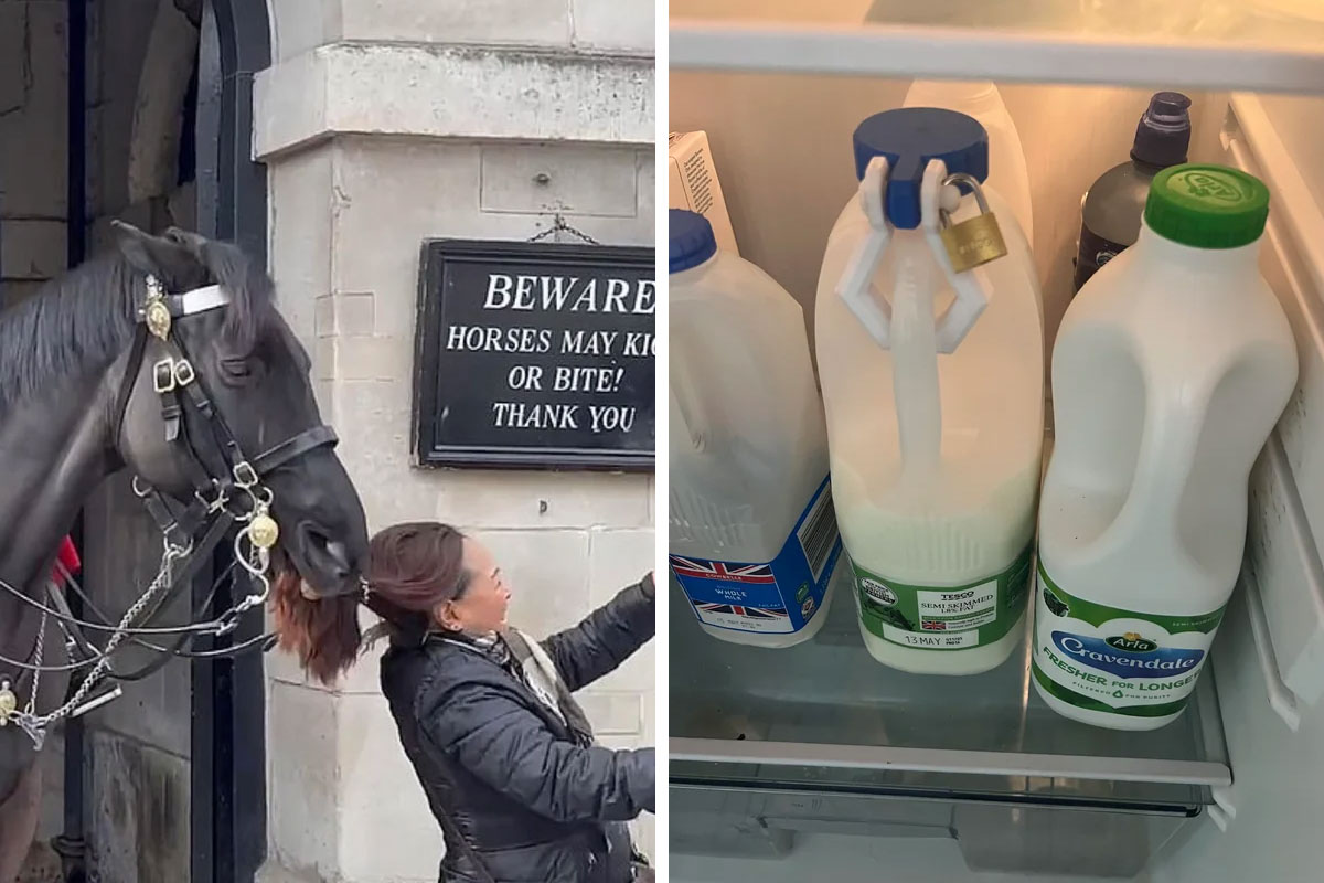 50 Funny Times Brits Was Caught Just Being Brits, As Shared In This ...