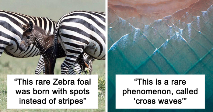 “Nature Is Freaking Lit”: 50 Times People Were Surprised By Nature (New ...