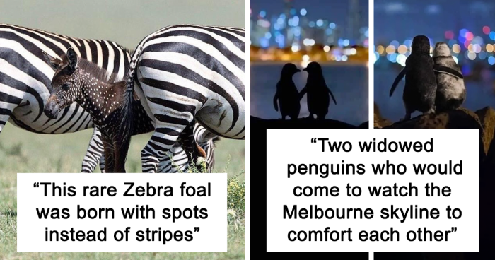 “Nature Is Freaking Lit”: 50 Times People Were Surprised By Nature (New ...