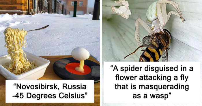 “Nature Is Freaking Lit”: 50 Times People Were Surprised By Nature (New ...