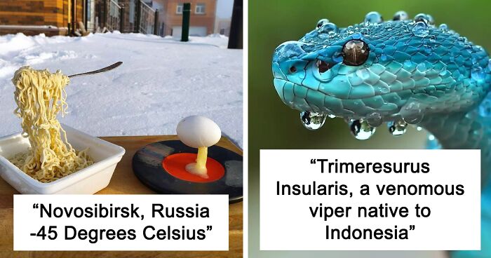 “Nature Is Freaking Lit”: 50 Times People Were Surprised By Nature (New ...