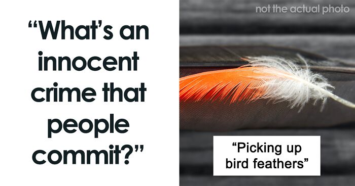 People Share 30 Crimes That You Probably Don’t Even Know Are Crimes ...