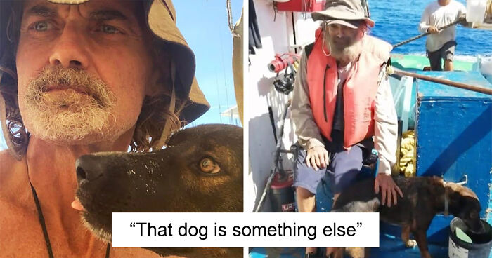Man And Dog Rescued From The Ocean After 2 Months | Bored Panda