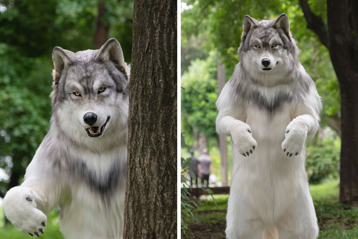 “I Feel I’m No Longer Human”: Man Spends $23,000 To Transform Into A Wolf