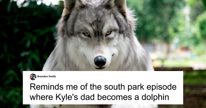 “I Feel I’m No Longer Human”: Man Spends $23,000 To Transform Into A Wolf