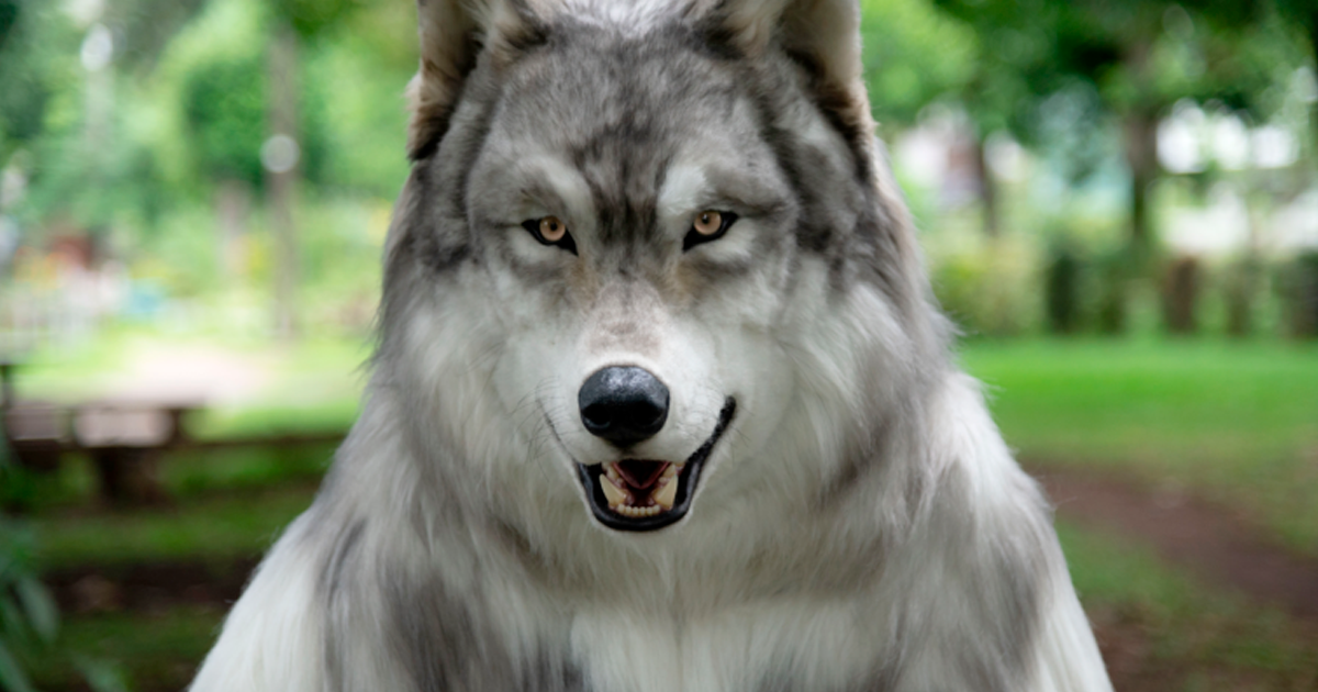 “I Feel I’m No Longer Human”: Man Spends $23,000 To Transform Into A ...