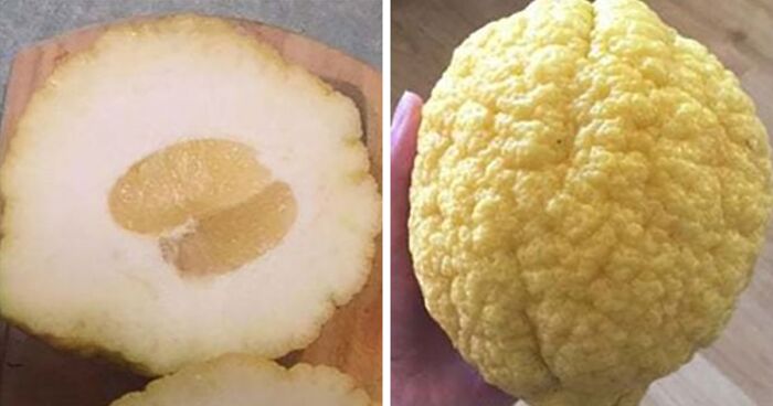 45 Upsetting Images Of ‘Mildly Infuriating’ Things (New Pics) | Bored Panda