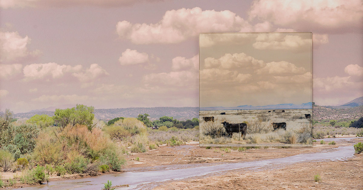 In These 10 Multi-Layered Images, Artist Visualizes Earth’s Future ...