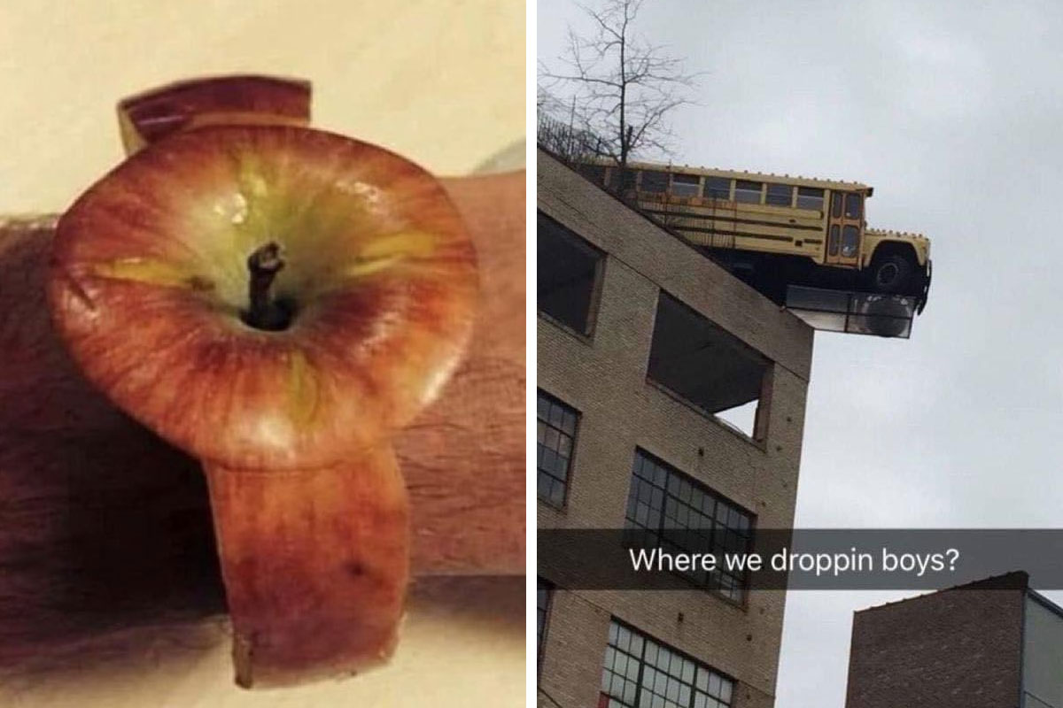 This Twitter Page Gets Odder And Odder With Each Post, So Here Are 30 ...