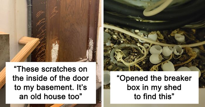 50 Of The Creepiest Things People Have Spotted In Real-Life Homes ...
