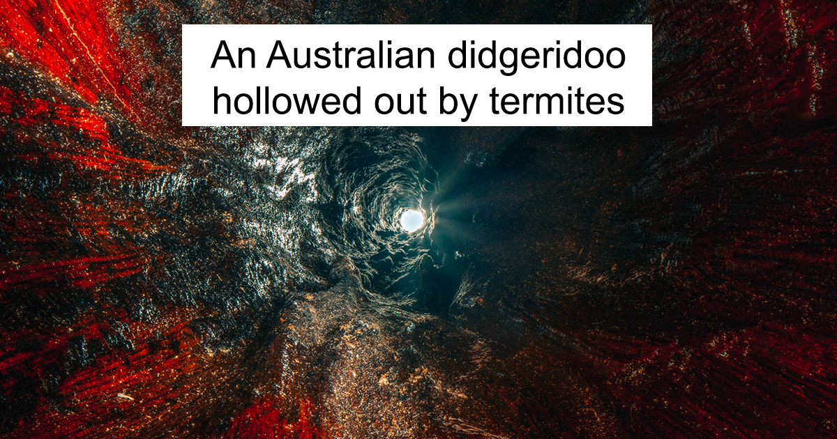 I Use Specialist Probe Lenses And Complex Imaging Techniques To ...