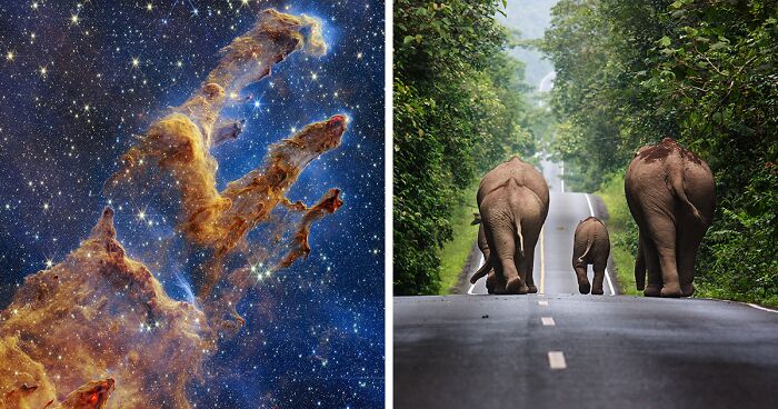 Wikimedia Commons: Here Are The 45 Best Pictures Of 2006-2022 Chosen By ...