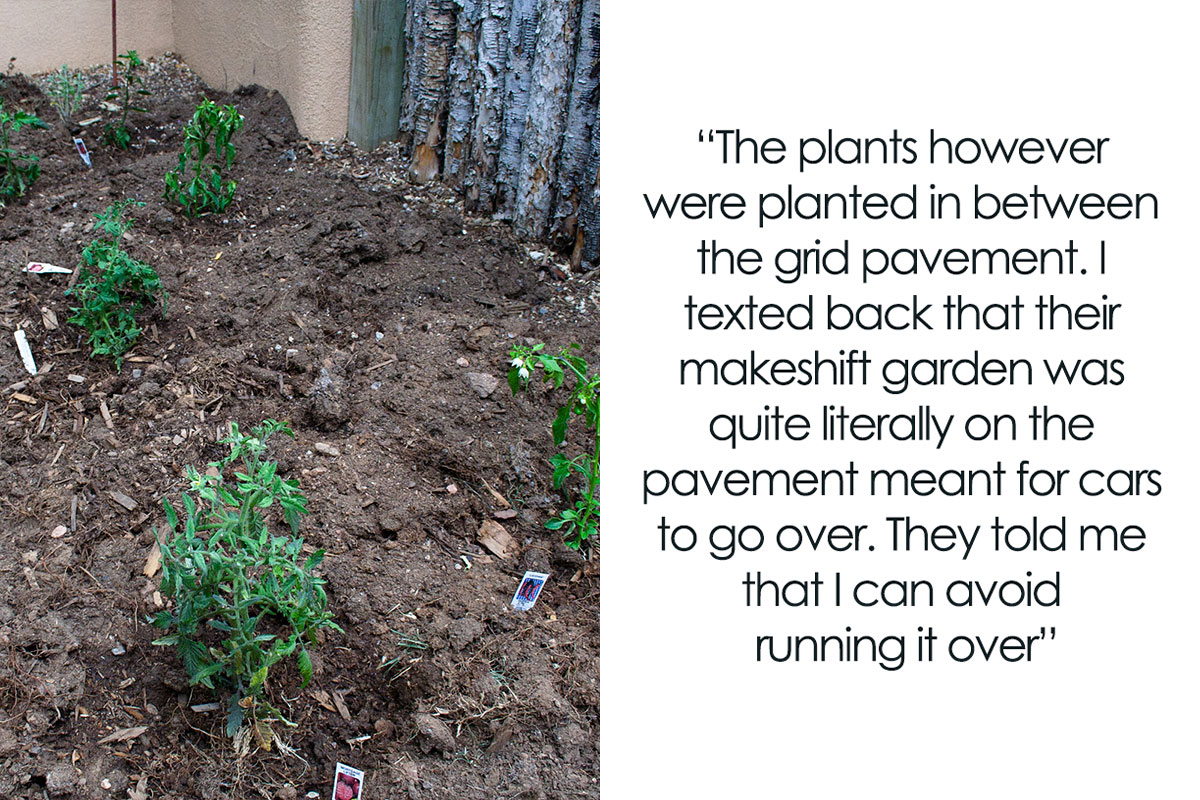 Neighbor Ruins Kid’s Botany Project Over And Over As Parents Keep ...