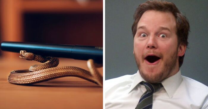 50 Times People Made Something Really Cool And Just Had To Share It In ...
