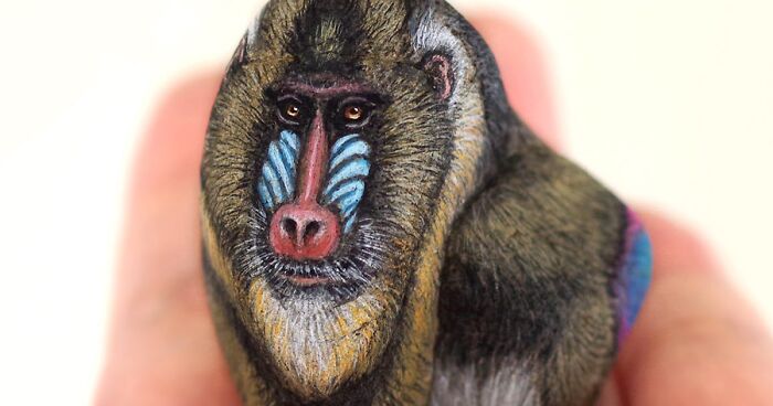 39 Animal Paintings On Natural Stones By Akie Nakata (New Pics) | Bored ...