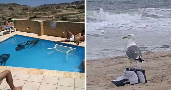 “Unusual Images”: 30 Of The Most Comically Bizarre Pics Shared By This ...