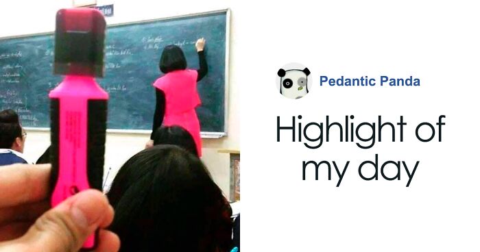 “Unusual Images”: 30 Of The Most Comically Bizarre Pics Shared By This ...