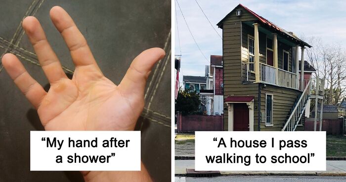 This Online Group Is Dedicated To The Weirdest Pics Out There (45 Pics ...