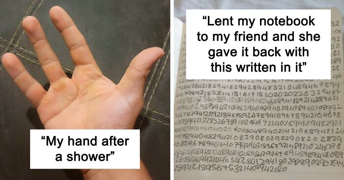 This Online Group Is Dedicated To The Weirdest Pics Out There (45 Pics ...