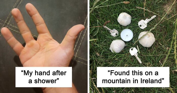 This Online Group Is Dedicated To The Weirdest Pics Out There (45 Pics ...