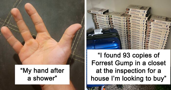 This Online Group Is Dedicated To The Weirdest Pics Out There (45 Pics ...