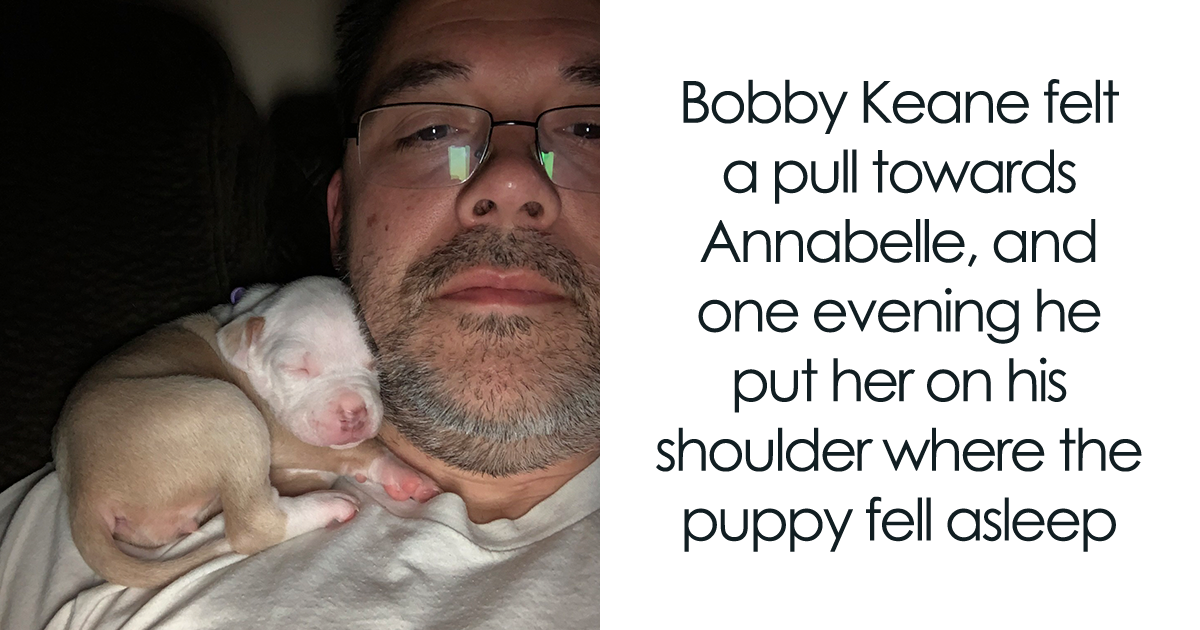 Pit Bull’s Adorable Naptime Ritual That Started At 3 Weeks Old ...