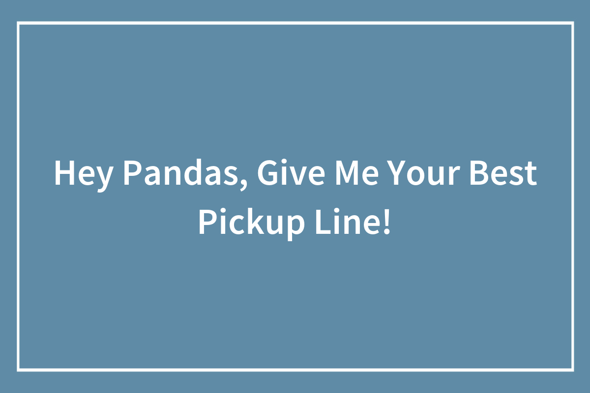 Pickup Line Panda Meme