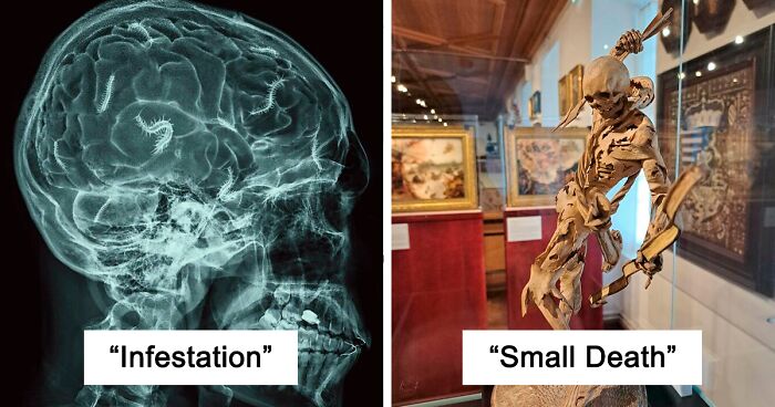 40 Of The Creepiest Things Shared Online, As Presented By This Online ...