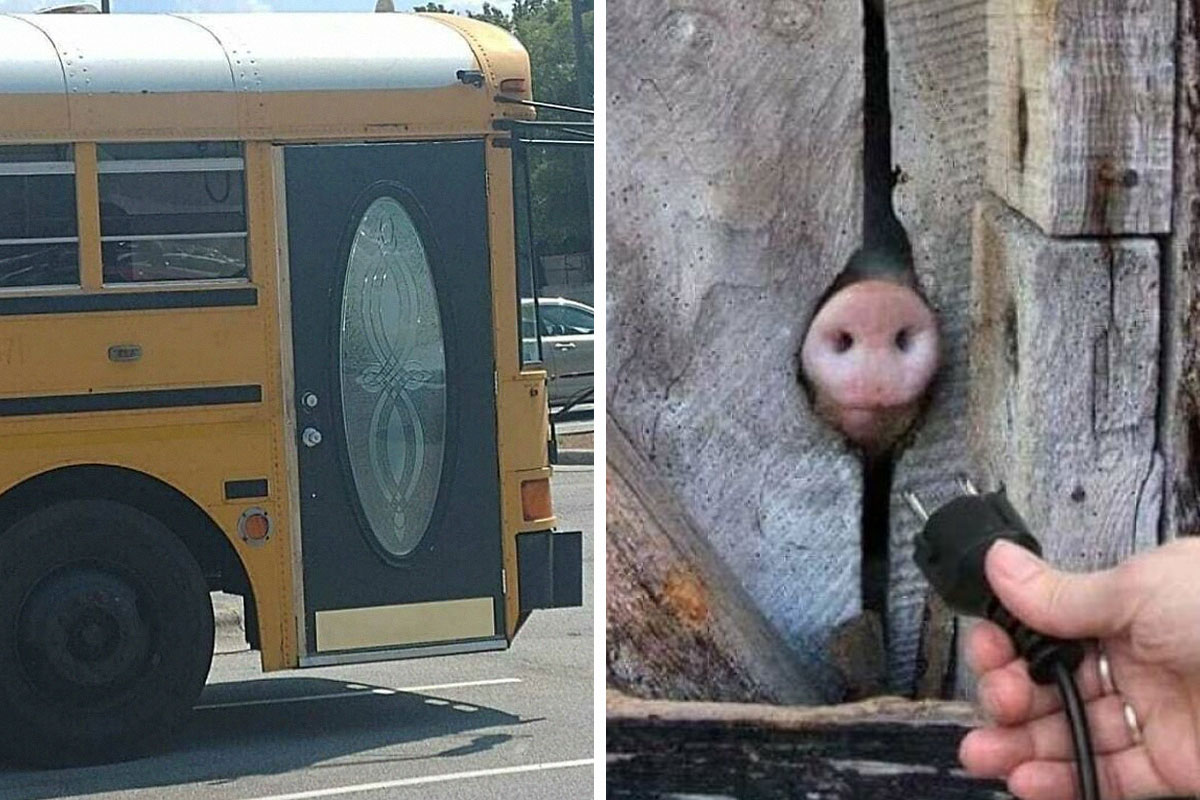 This IG Page Is A Treasure Trove Of ‘Blursed’ Imagery, And Here Are 50 Of The Most Confusing ...