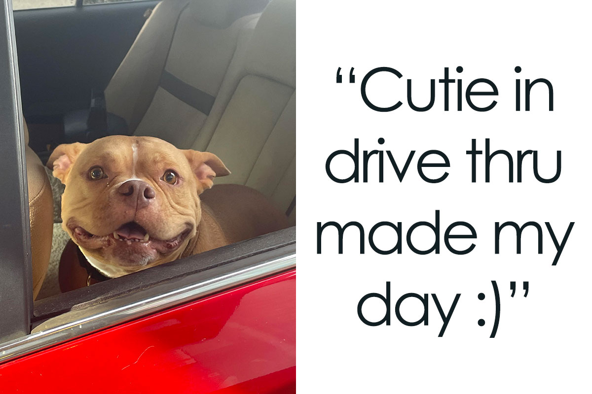 20 Pics Showing Dunkin’ Donuts Employees’ Reality | Bored Panda